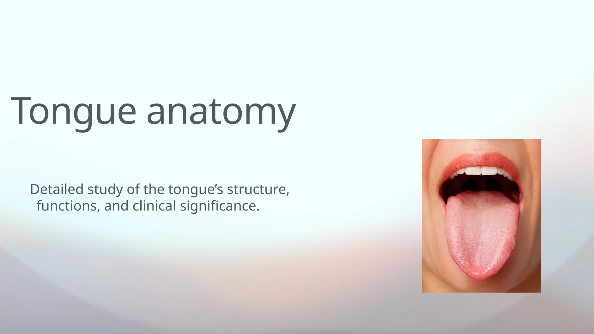 PRESENTATION OF TONGUE ANATOMY 1ST YEAR MBBS.pptx