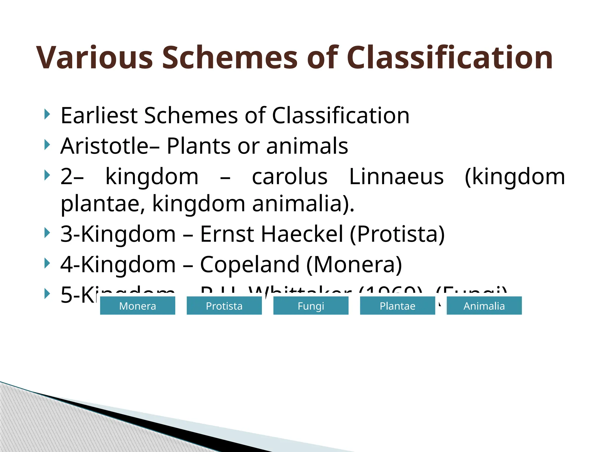 BASICS OF TAXANOMY AND CLASSIFICATION - biology | PPTX