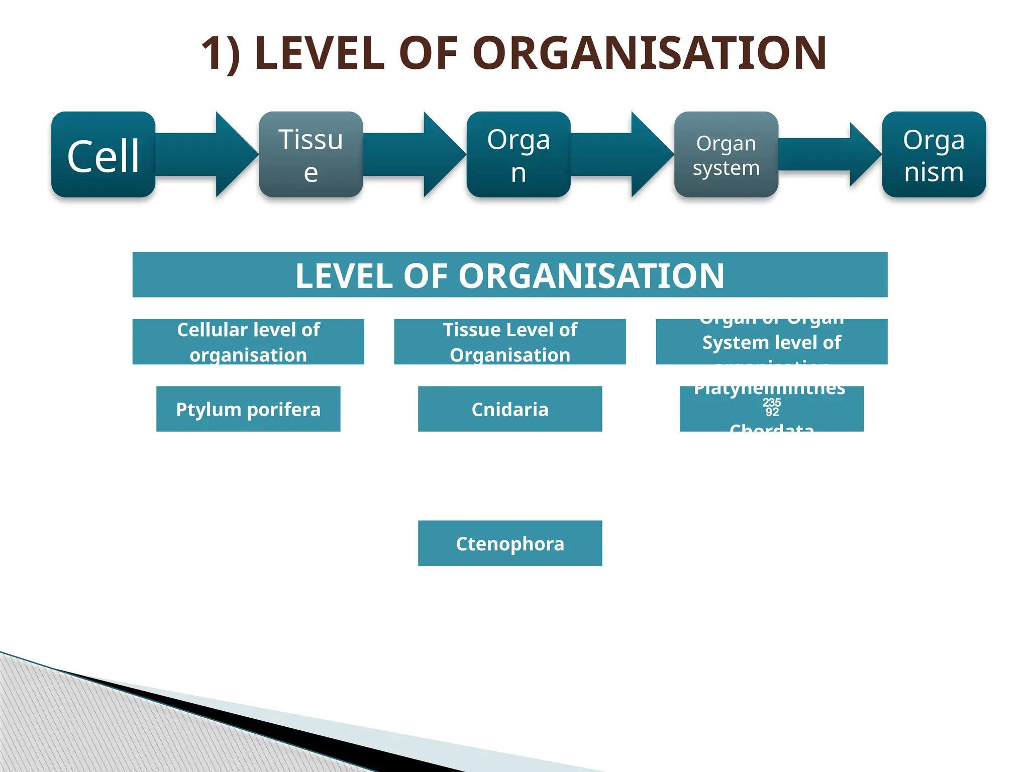 BASICS OF TAXANOMY AND CLASSIFICATION - biology | PPTX