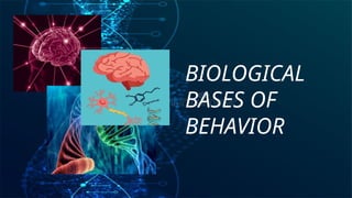 GENERAL PSYCHOLOGY POWERPOINT: BIOLOGICAL BASES OF BEHAVIOR | PPTX