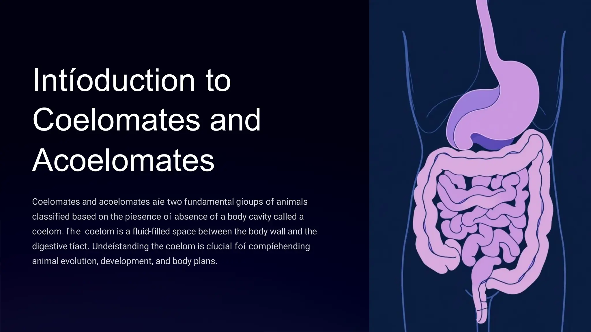 PPT on the introduction to coelomates and acoelomates me | PDF