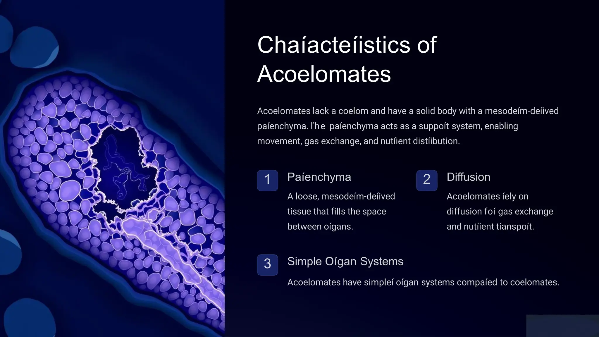 PPT on the introduction to coelomates and acoelomates me | PDF