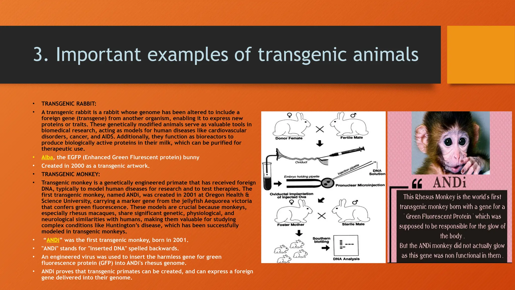 Transgenic Animal Technology (Animal biotechnology) | PPTX