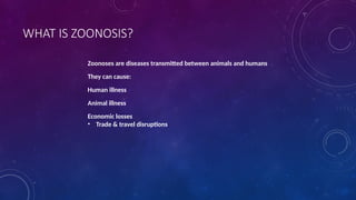 Common Zoonotic Diseases in human beings ppt | PPTX