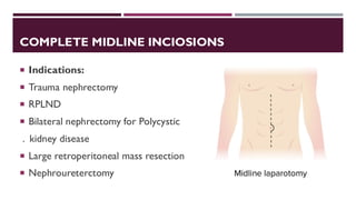 Urological Incisions Complete Overview Presentation | PDF