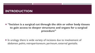 Urological Incisions Complete Overview Presentation | PDF