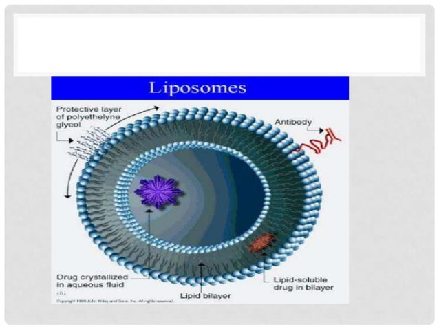 Nano Particles And Targeting Strategies In Drug Delivery Ppt