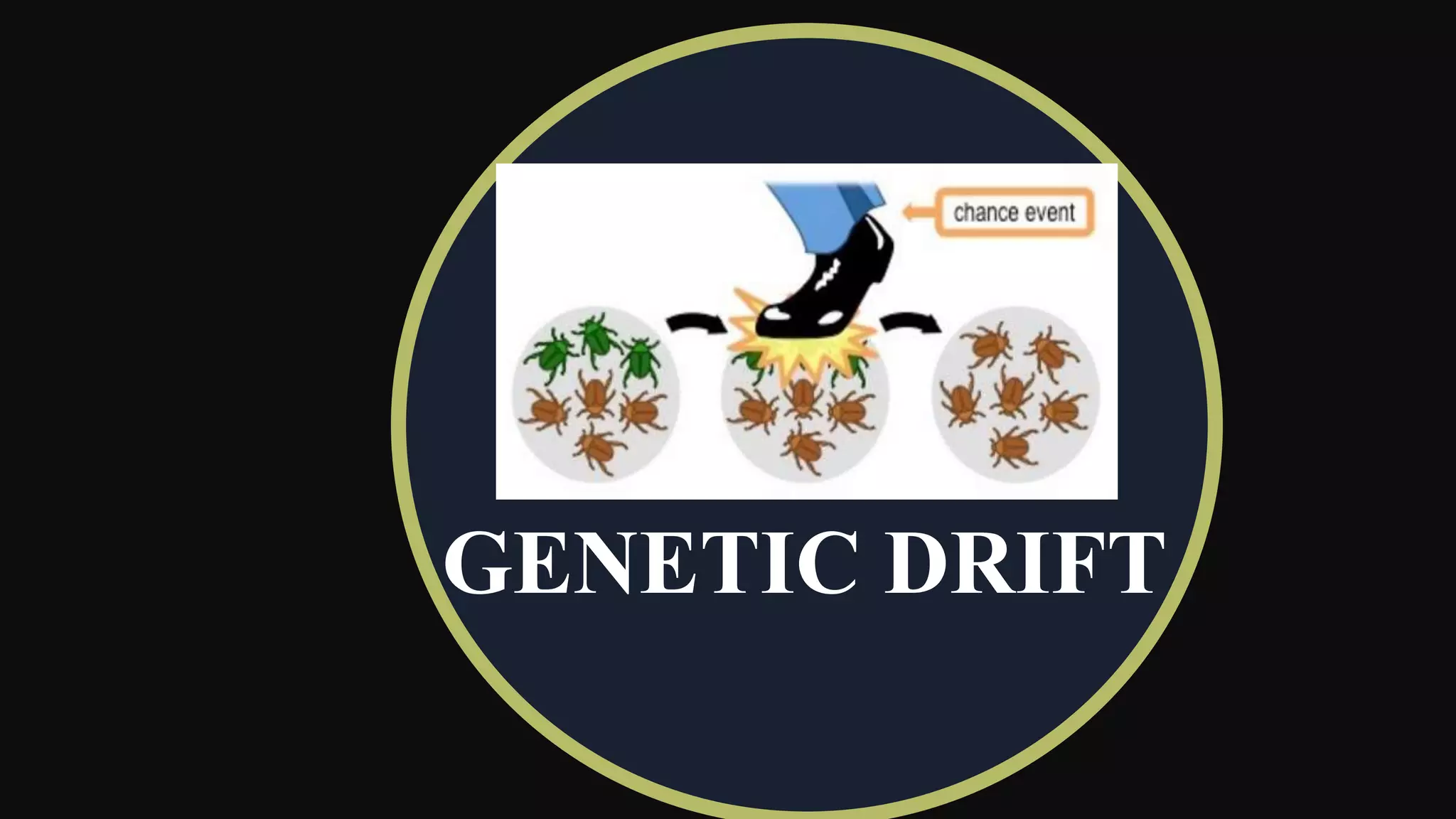 Presentation ON NATURAL SELECTION AND GENETIC DRIFT | PPTX