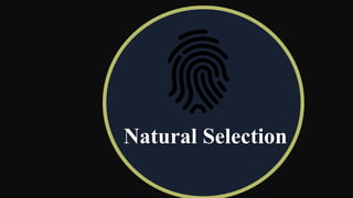 Presentation ON NATURAL SELECTION AND GENETIC DRIFT | PPTX