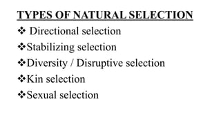 Presentation ON NATURAL SELECTION AND GENETIC DRIFT | PPTX
