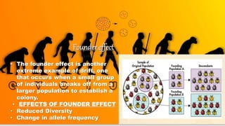 Presentation ON NATURAL SELECTION AND GENETIC DRIFT | PPTX