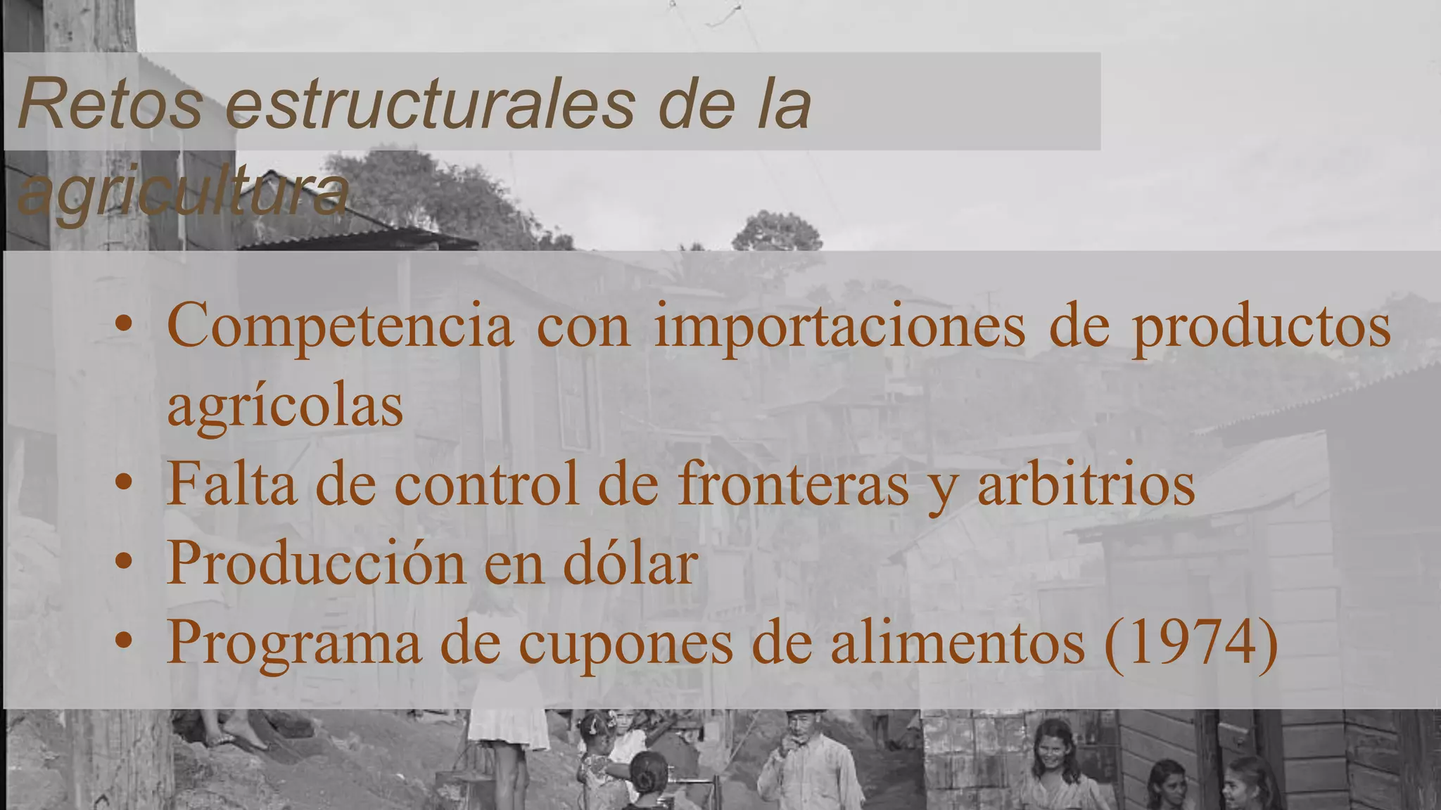 La agricultura en Puerto Rico: respuestas del Estado ante la ...