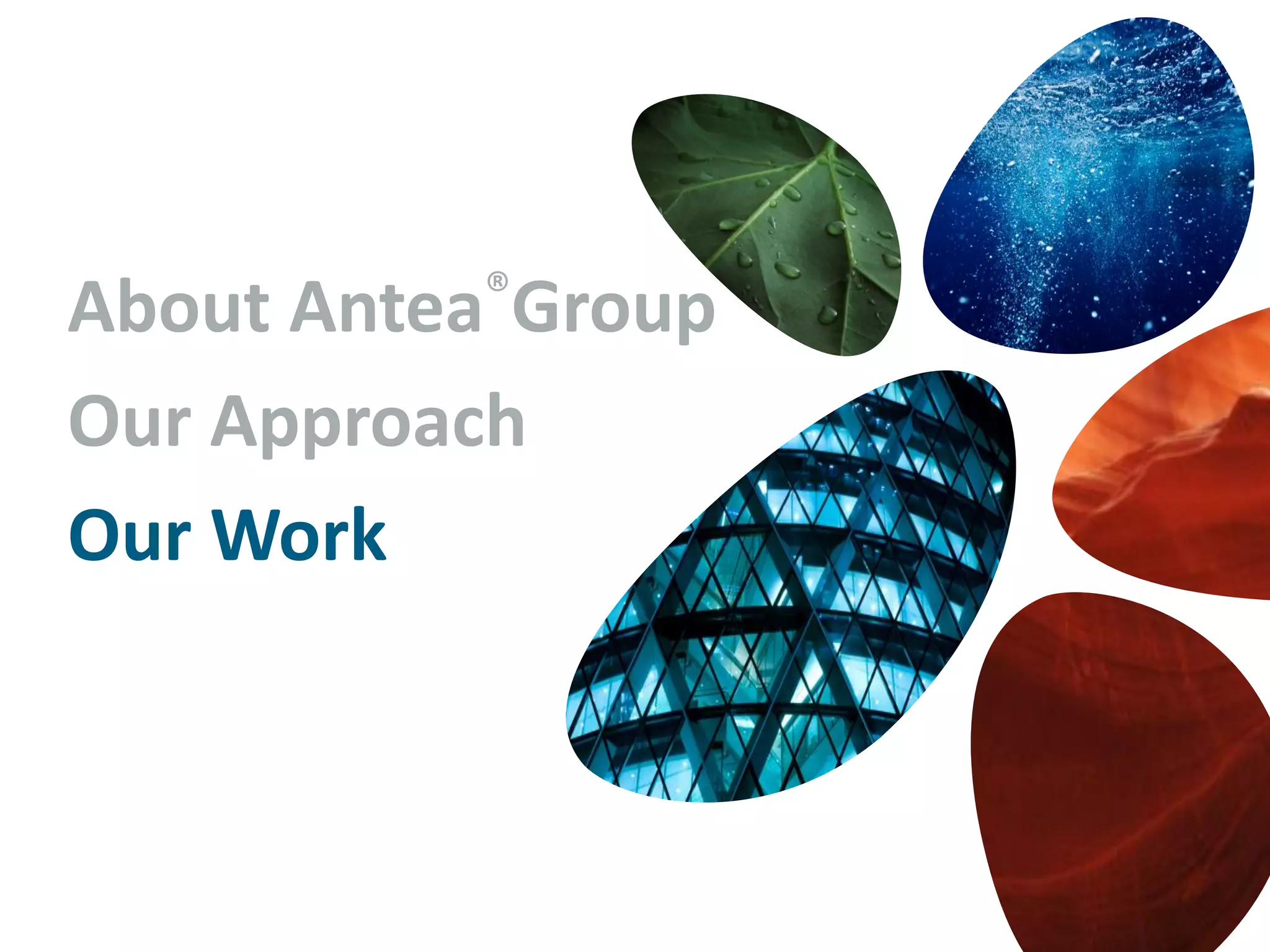 Antea Group USA Overview | PDF