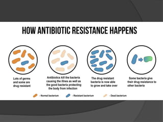 presentation-antibiotics-.pptx