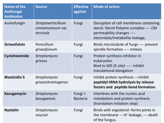 Presentation-antibiotics (PP503).ppt