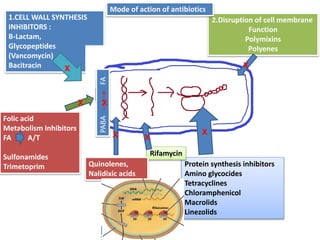 Presentation-antibiotics (PP503).ppt