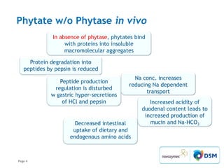 Overcoming anti-nutritional factors by using enzymes | PPT