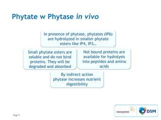 Overcoming anti-nutritional factors by using enzymes | PPT