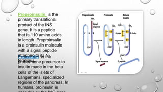 Presentation-BIO.pptx | Endocrine and Metabolic Diseases | Diseases and ...