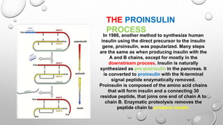 Presentation-BIO.pptx