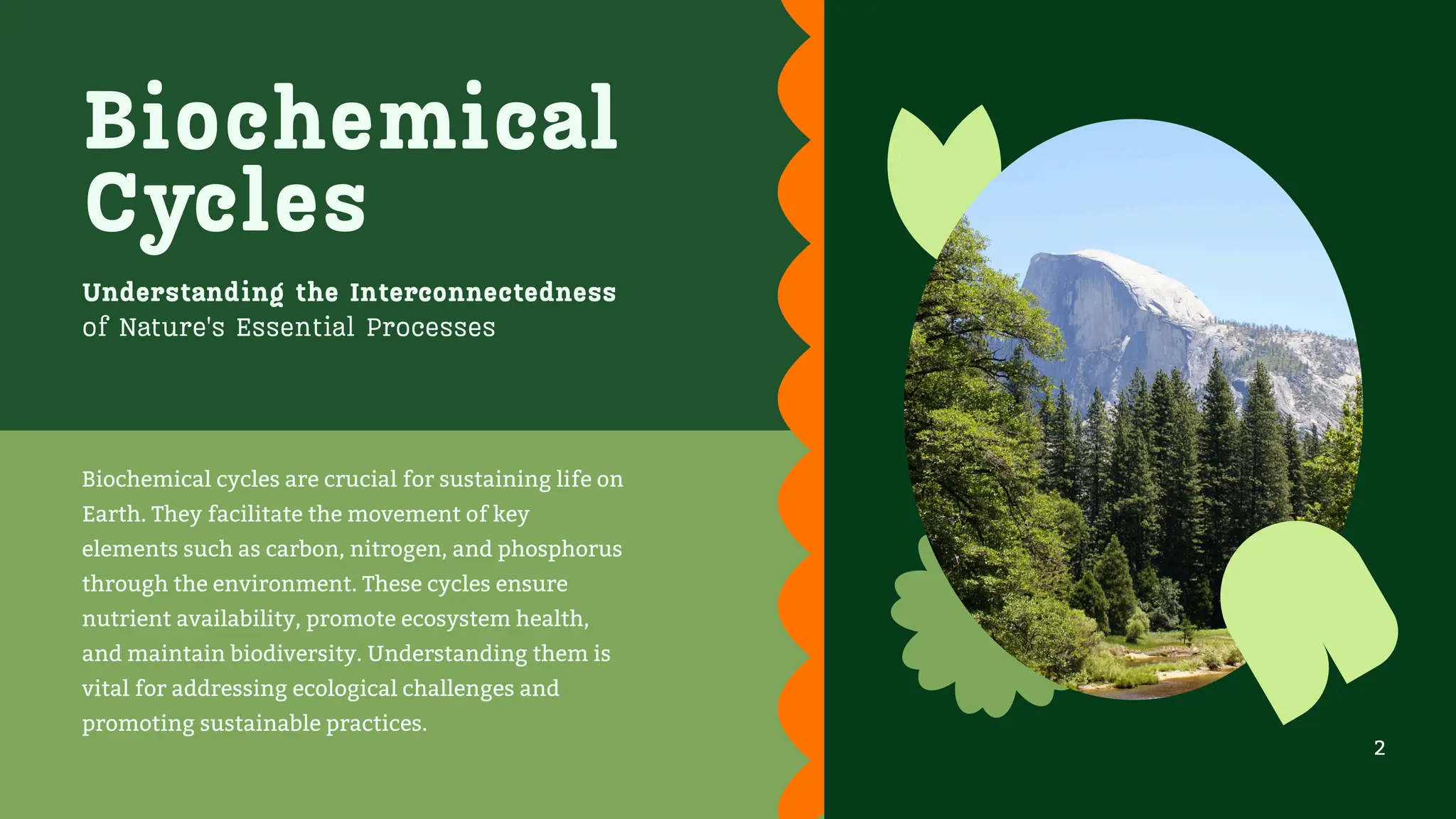 Sami Chen on Biochemical Cycles: How Key Elements Sustain Ecosystems | PDF