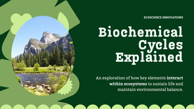 Sami Chen on Biochemical Cycles: How Key Elements Sustain Ecosystems | PDF
