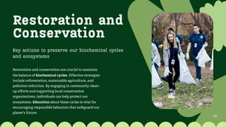 Sami Chen on Biochemical Cycles: How Key Elements Sustain Ecosystems | PDF