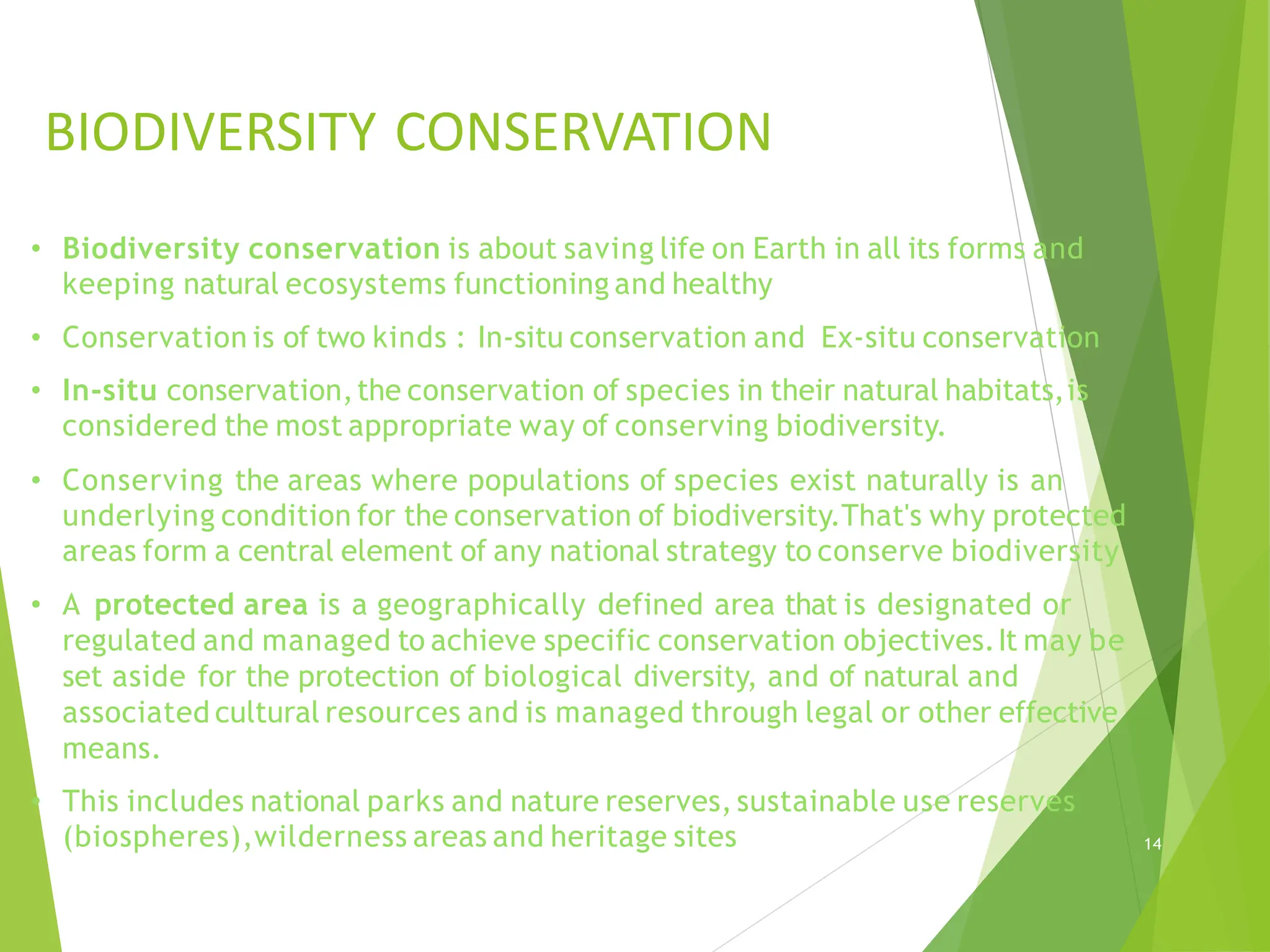 presentation-biodiversity (1).pptx ...... | PPT