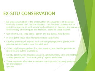 presentation-biodiversity (1).pptx ...... | PPTX