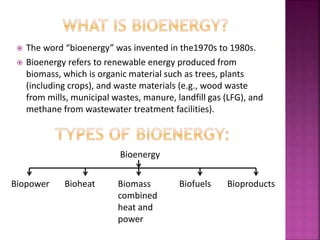 Presentation bioenergy | PPTX