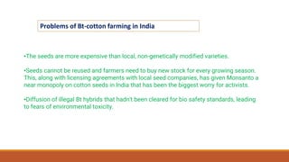 Presentation- Bt cotton.pdf