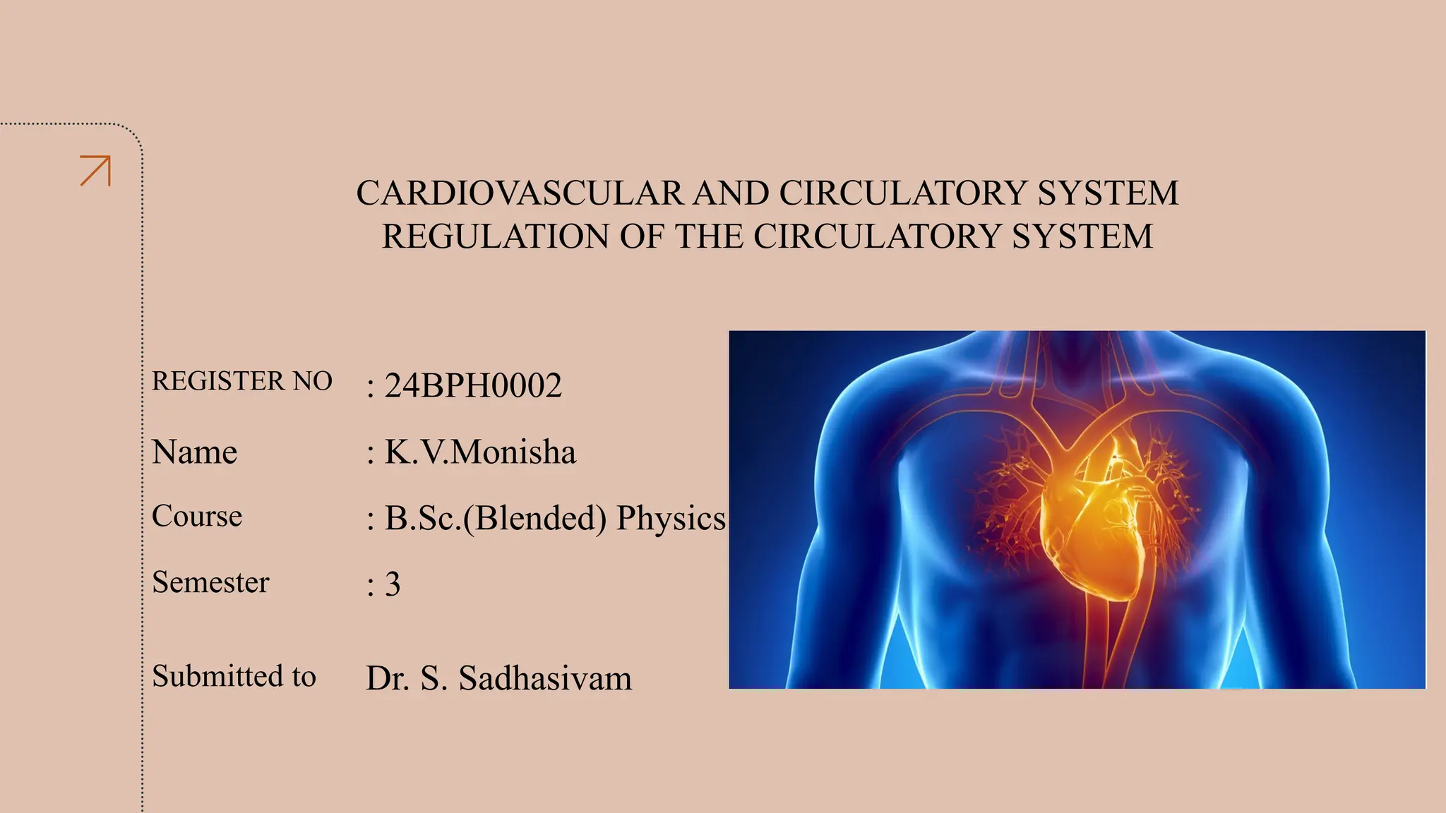 Presentation - Cardiovascular System Regulation Overview (1).pptx