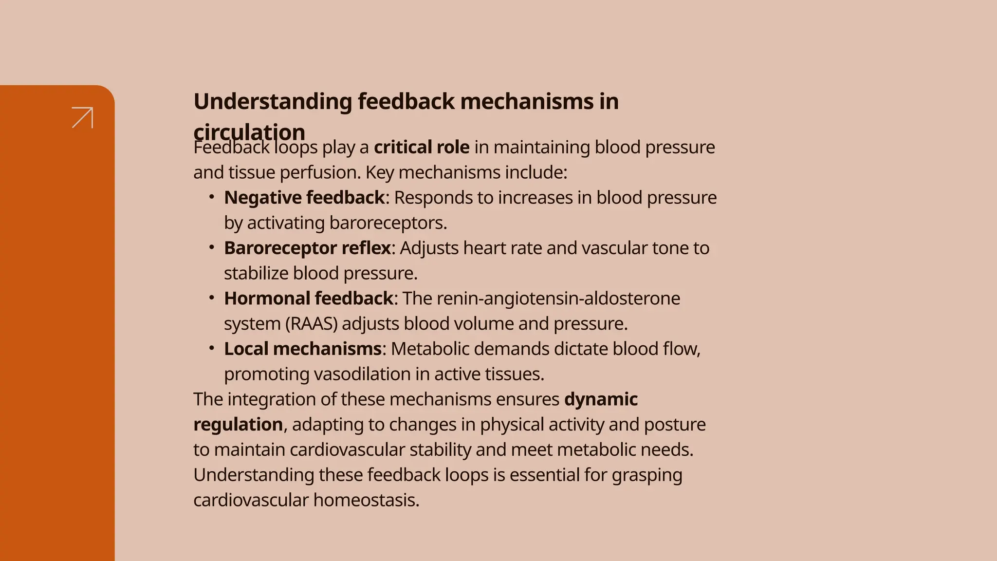 Presentation - Cardiovascular System Regulation Overview (1).pptx