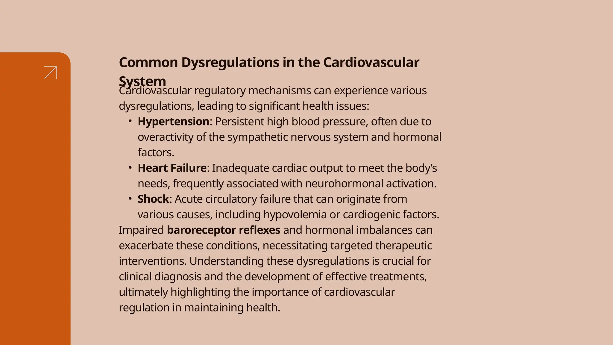 Presentation - Cardiovascular System Regulation Overview (1).pptx