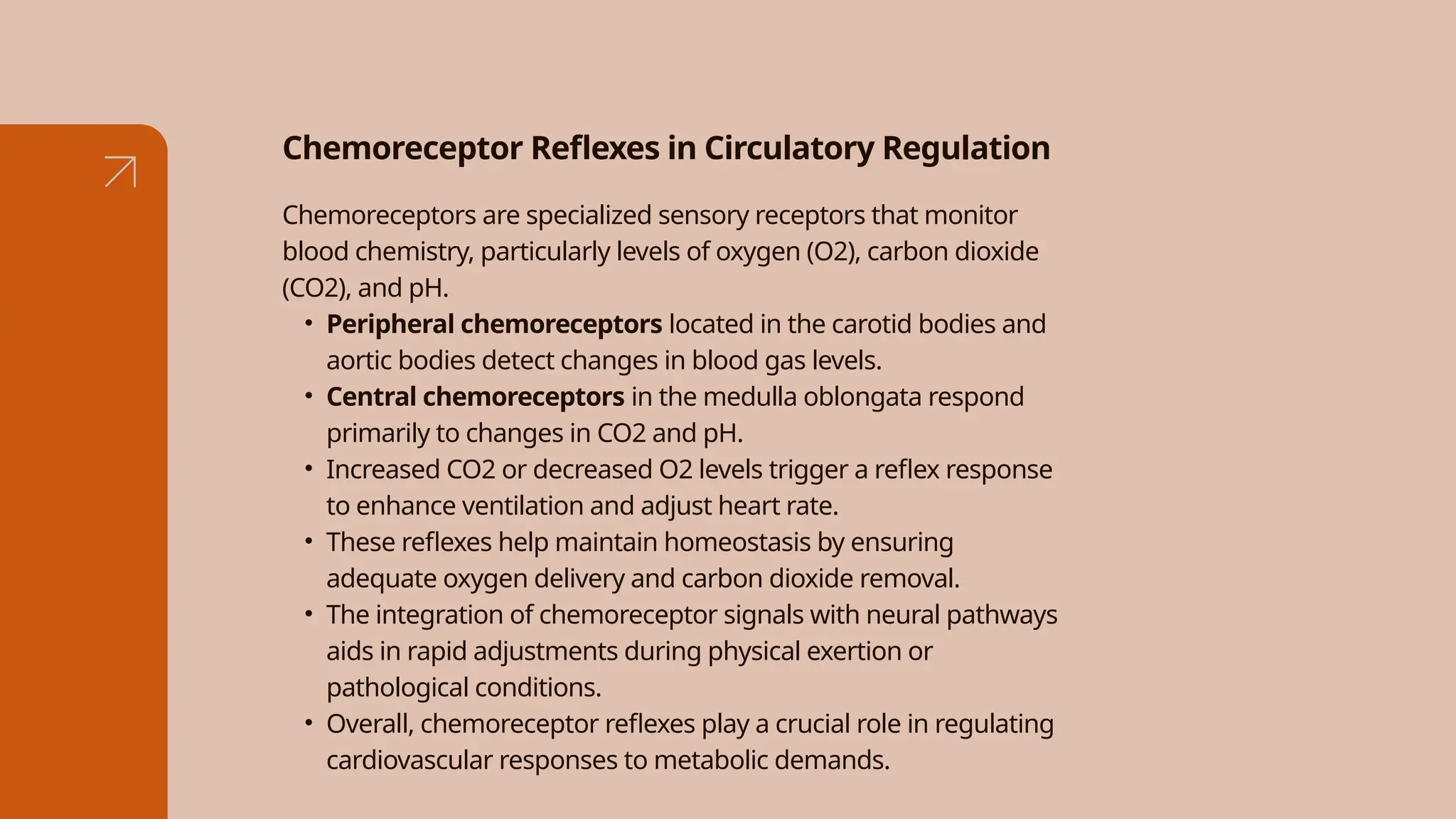 Presentation - Cardiovascular System Regulation Overview (1).pptx