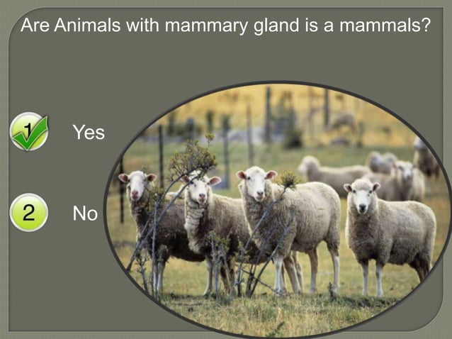 Presentation carmela | PPTX