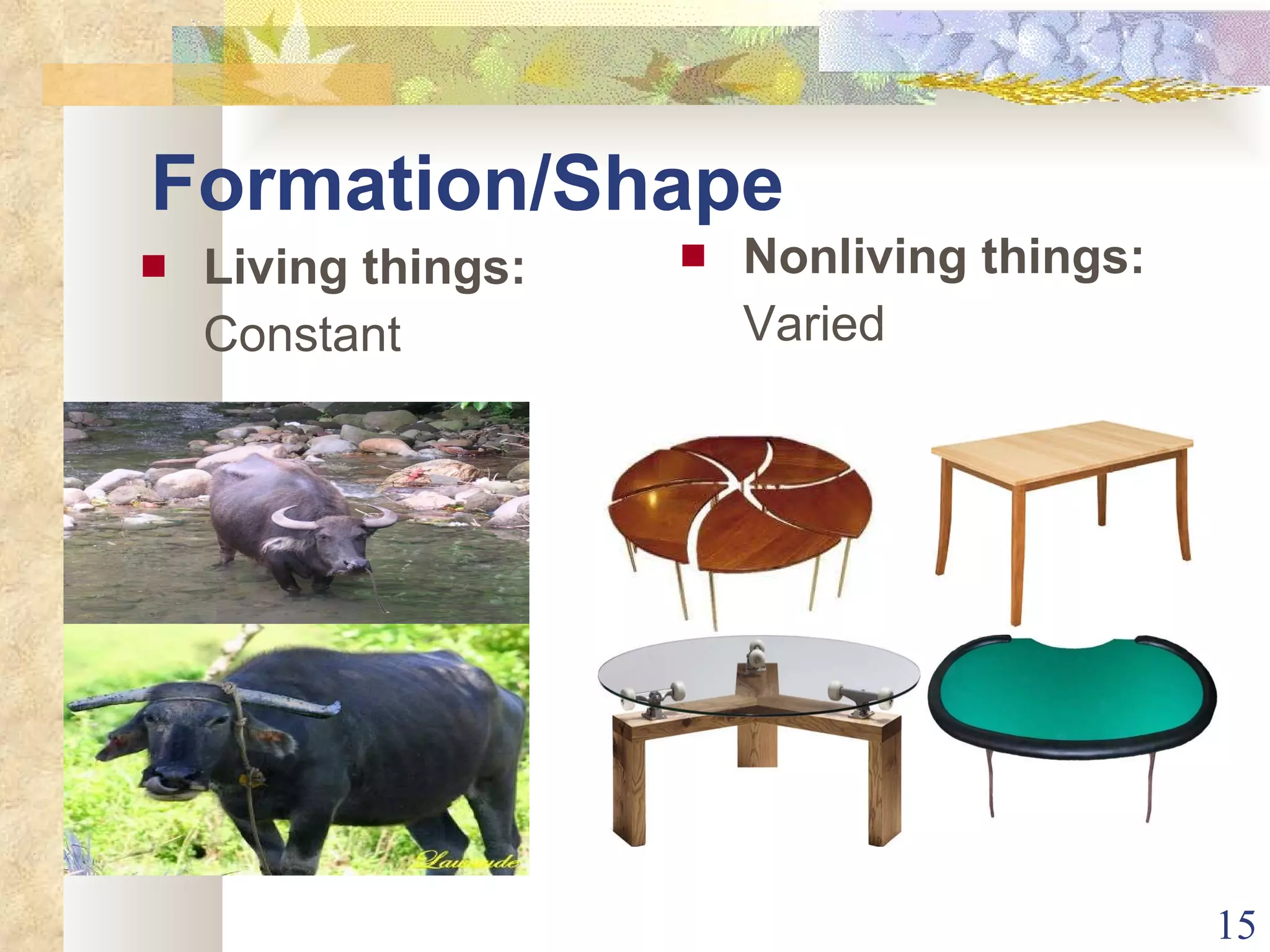 Presentation characteristics of life | PPT