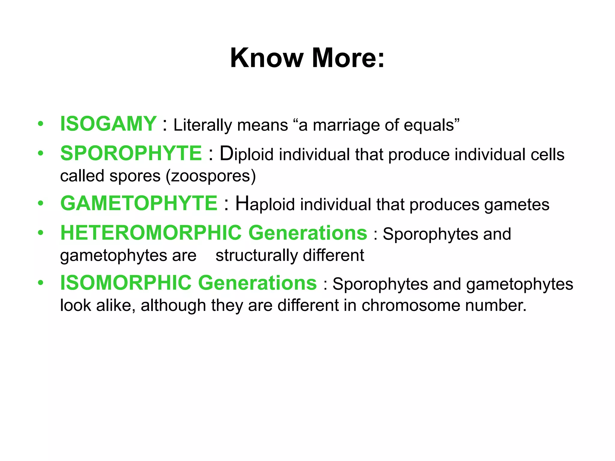 Chlamydomonas | PPT