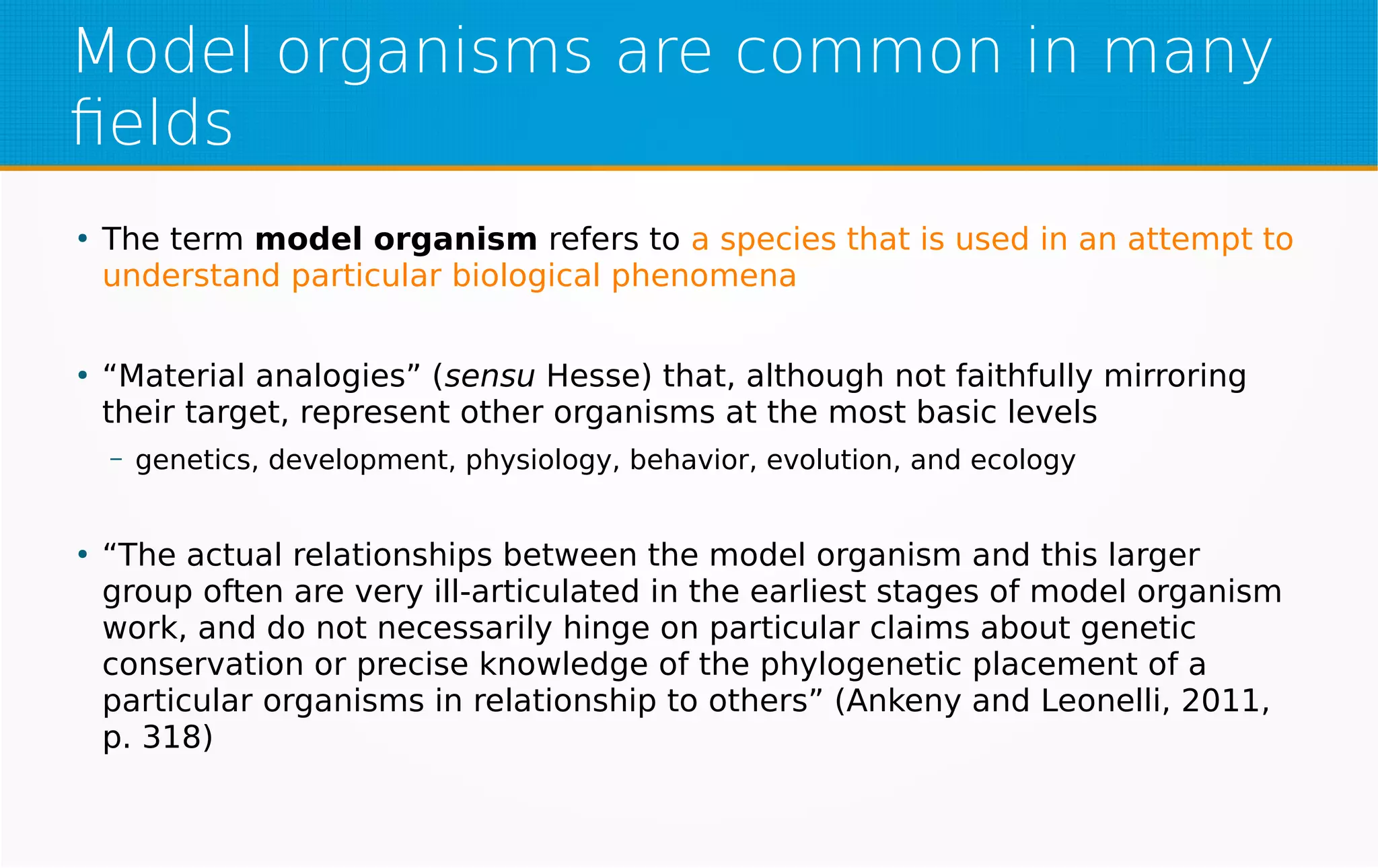 Non-mammalian models in behavioral neuroscience | PDF | Biological ...