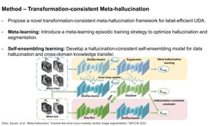 [MICCAI 2022] Meta-hallucinator: Towards Few-Shot Cross-Modality ...