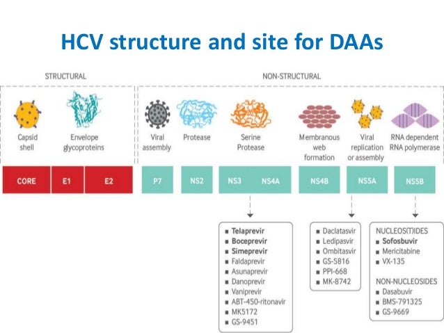 Hepatitisc Virus Hcv Direct Acting Antivirals