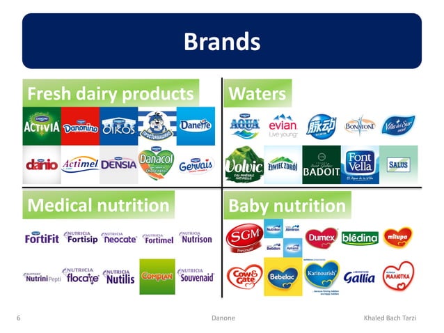 Danone Profile | PDF