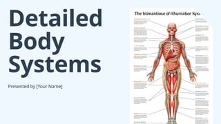 Presentation - Detailed Body Systems.pptx