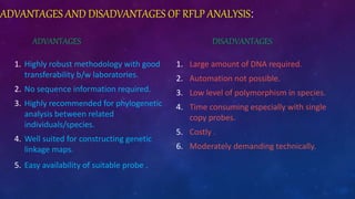 Presentation dna fingerprinting | PPTX