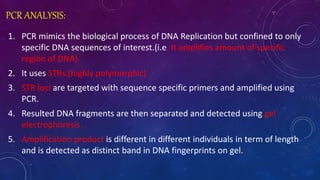 Presentation dna fingerprinting | PPTX