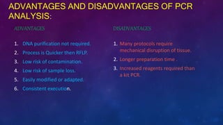 Presentation dna fingerprinting | PPTX