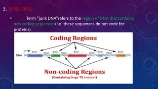 Presentation dna fingerprinting | PPT