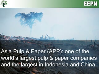 Paper industry and deforestation in Indonesia | PPT