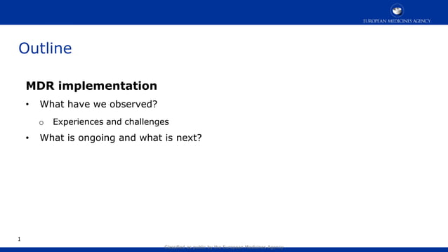 presentation-ema-experience-mdr-implementation_en.pdf