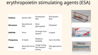 Presentation - Erythropoietin Overview.pptx
